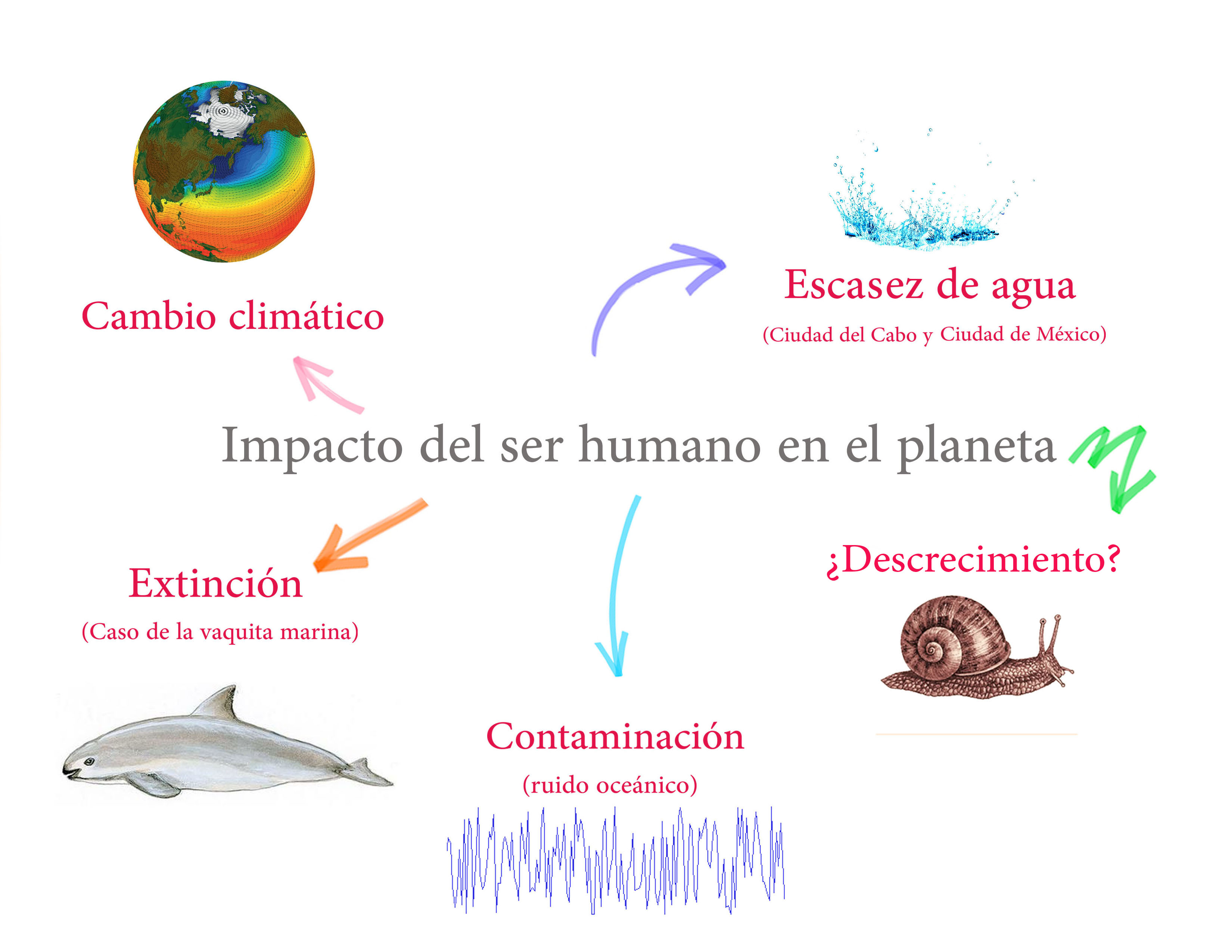 Impacto del ser humano en el planeta | Prisma a la Vista